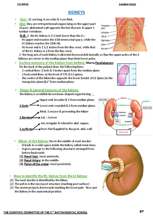 Large Intestine - 50 LARGE INTESTINE Beginning: it begins at the ...