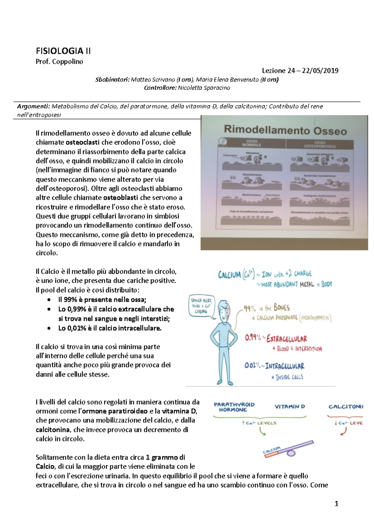 Lezione 24 - Fisiologia - 22-05 - Coppolino - Warning: TT: undefined function: 32 Warning: TT ...
