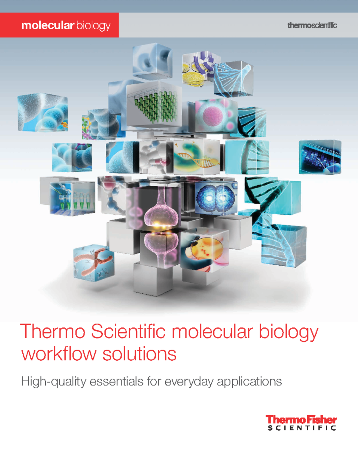 Thermo scientific molecular biology workflow solutions brochure ...