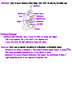 AP-Body Cavity Organs System - Thoracic cavity Abdominal cavity ...