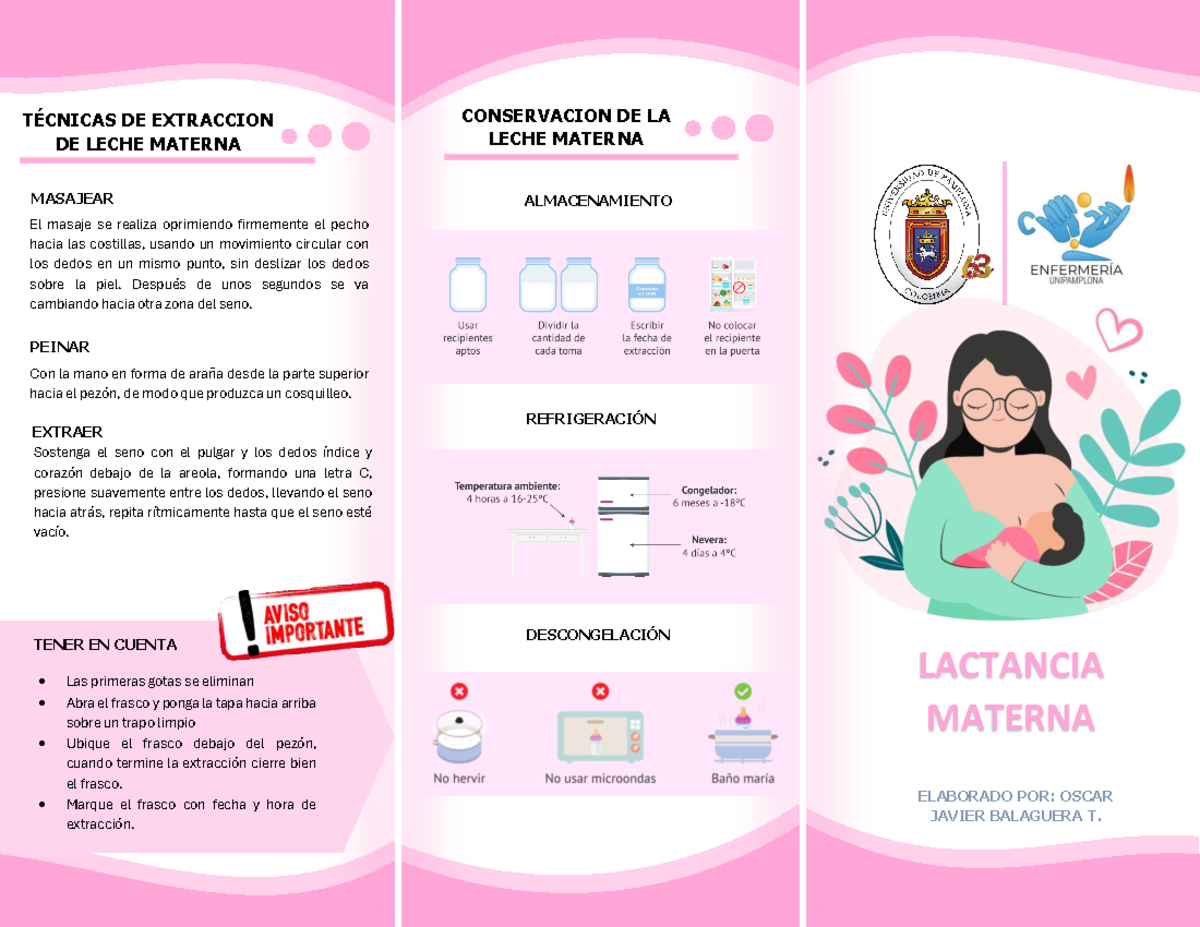 Folleto Lactancia Materna - O LACTANCIA MATERNA TÉCNICAS DE EXTRACCION ...