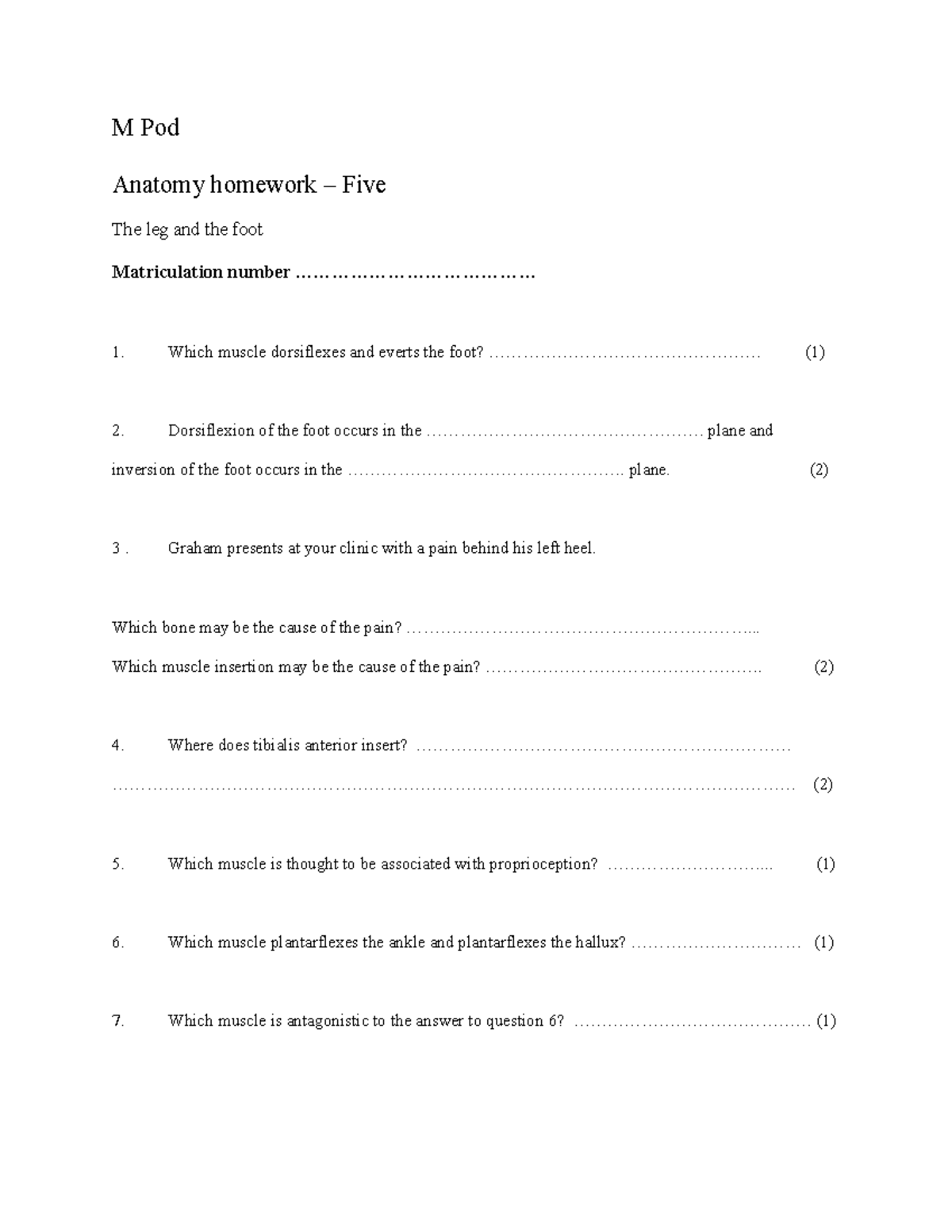 Anatomy Homework 14 - M Pod Anatomy homework – Five The leg and the ...