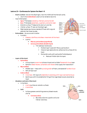 Anatomy lecture 3 and 4 notes - Anatomy lecture 3 notes: Blast cell ...