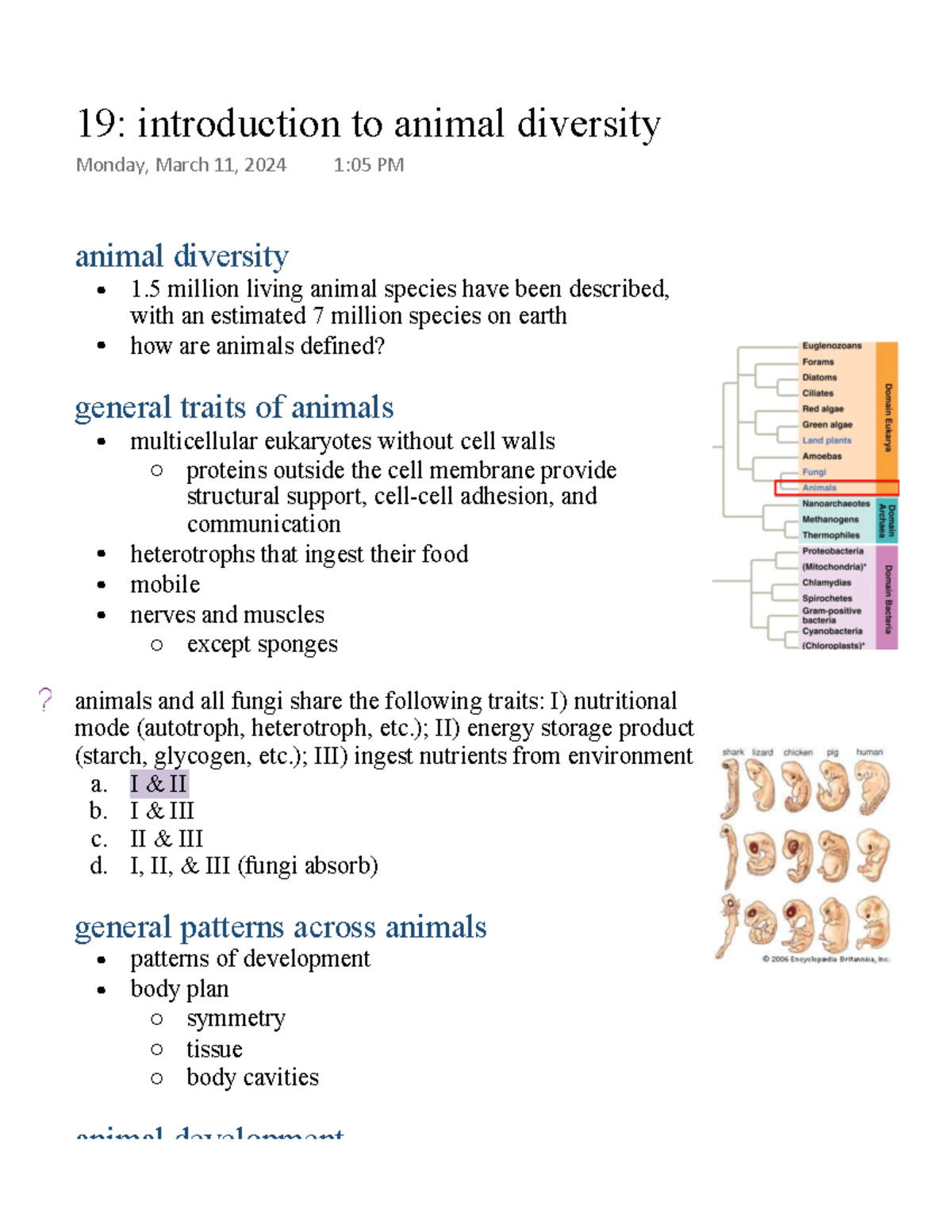 UVA BIOL 2200 Lesson 19 - Introduction to Animal Diversity - animal ...