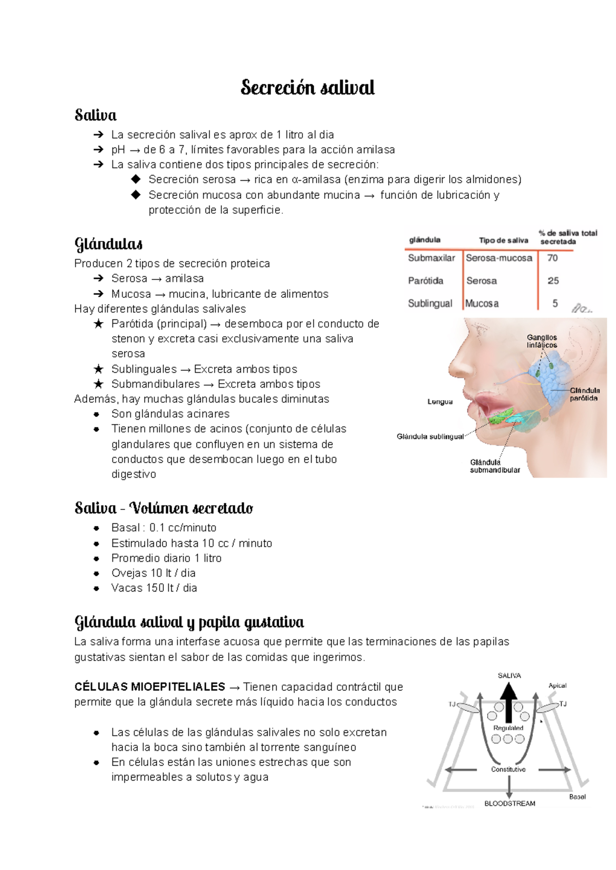 2. Secreción salival - Secreció saliva Saliv La secreción salival es ...
