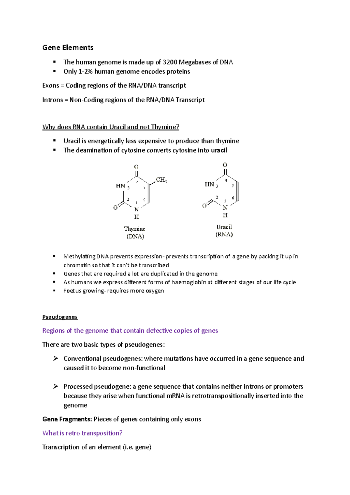 L3-Gene elements - Gene Elements The human genome is made up of 3200 ...