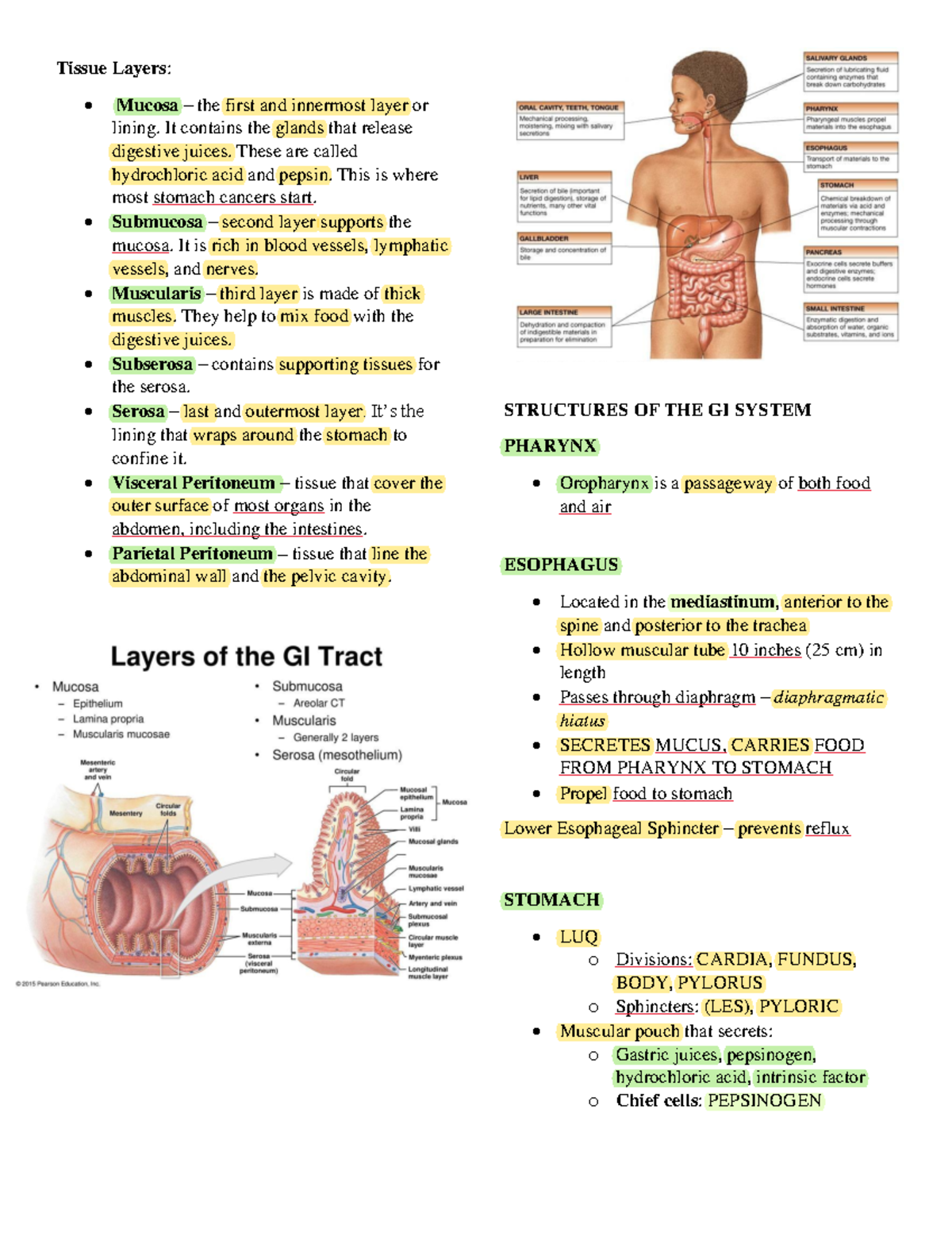 GIT - WEEK 1 - Introduction of Medical Surgical (GIT) - Tissue Layers ...
