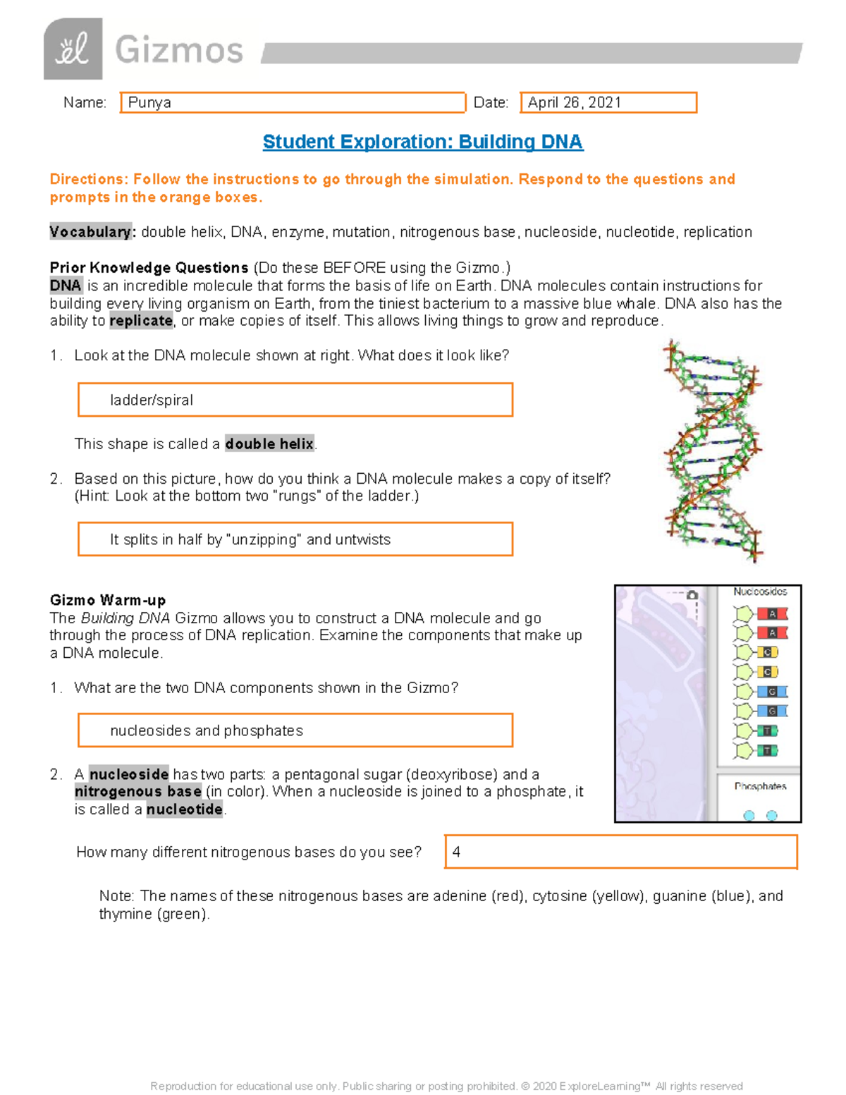 Building DNA Student Gizmo - Name: Punya Date: April 26, 2021 Student ...
