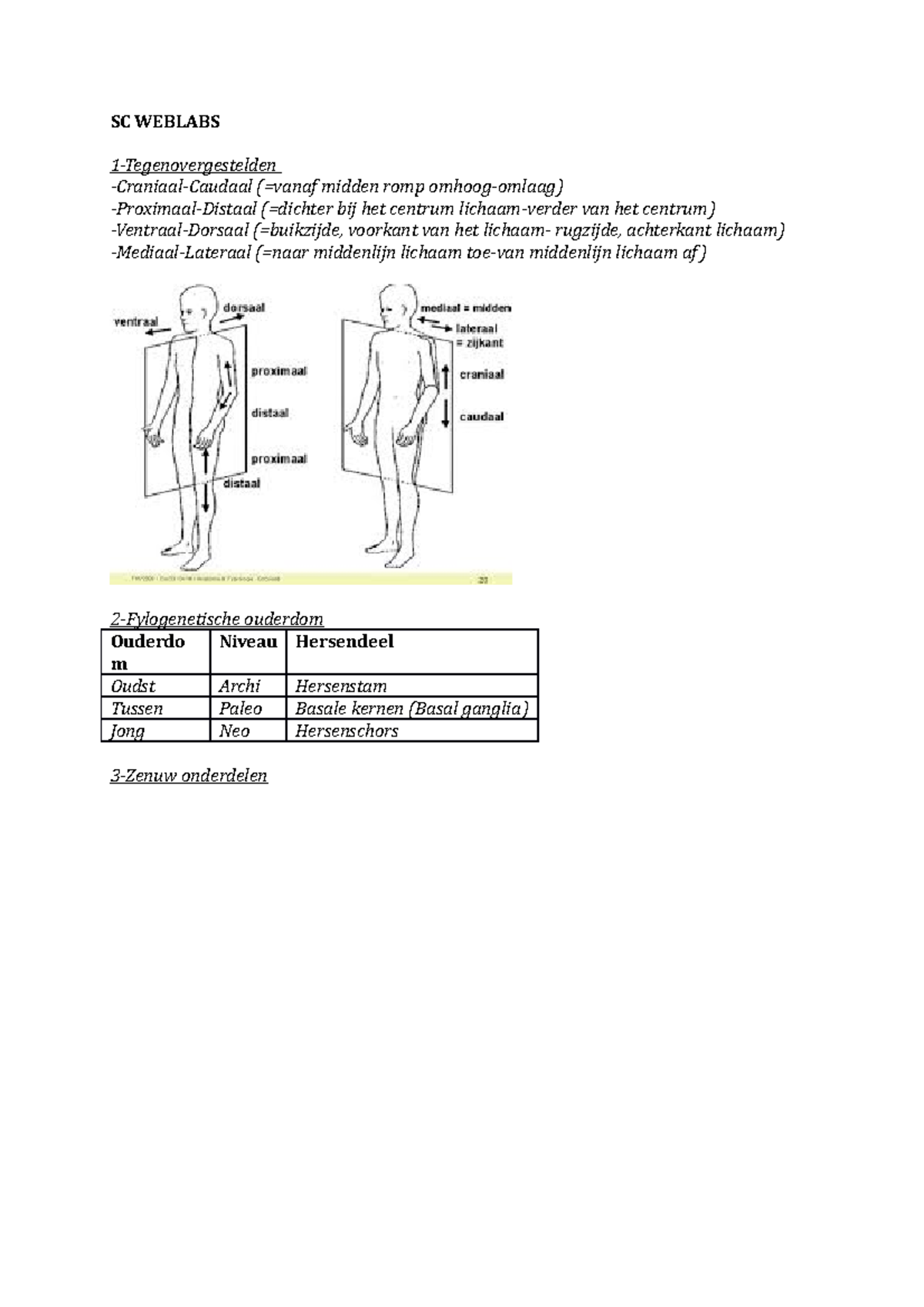 Weblabs met uitwerkingen - SC WEBLABS 1-Tegenovergestelden -Craniaal ...
