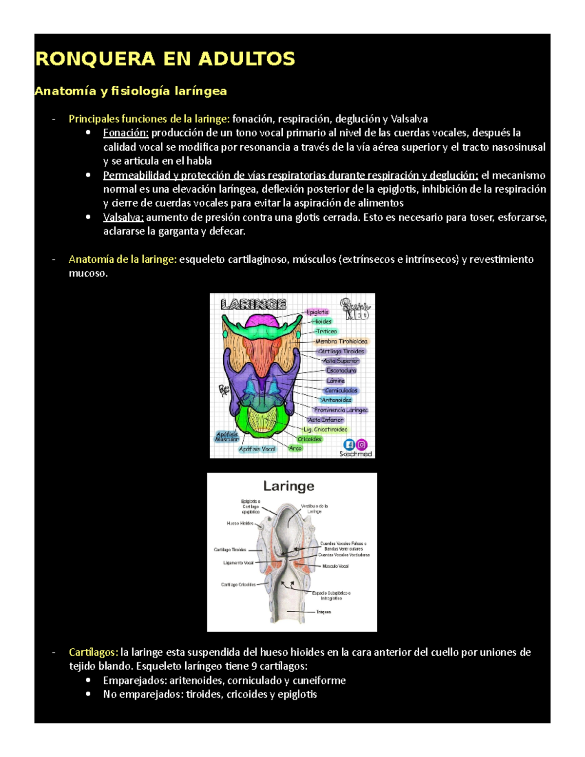 Ronquera adultos y diagnosticos - RONQUERA EN ADULTOS Anatomía y ...