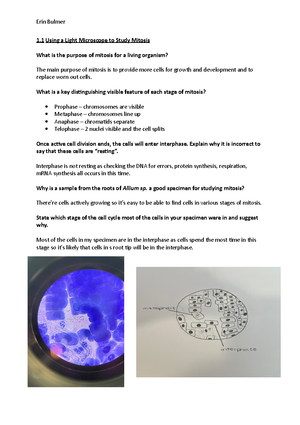 Forensic DNA Fingerprinting Report - Analysis of the D1 S80 mini ...