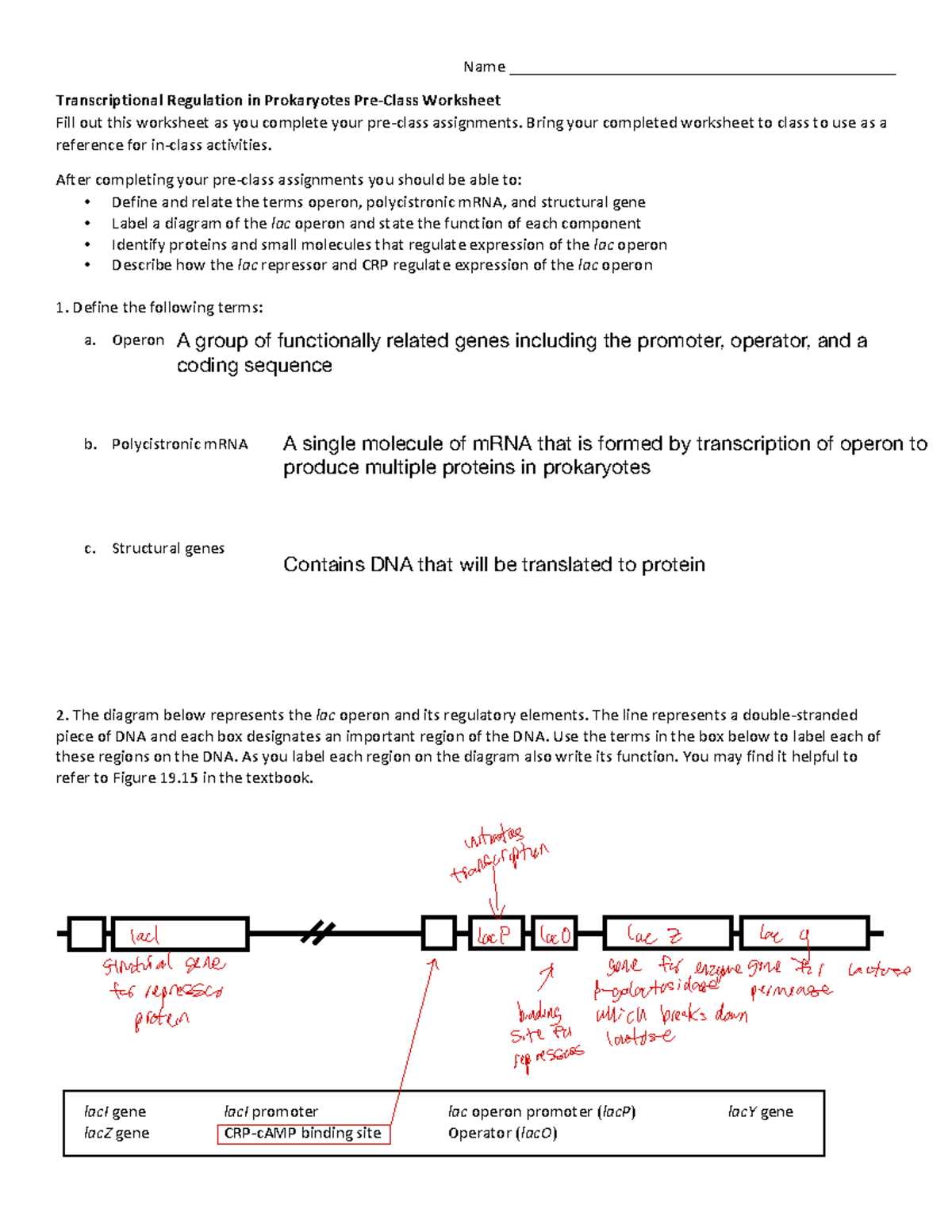 Week 7a Prokaryotic Gene Expression Reading Guide - Name - Studocu