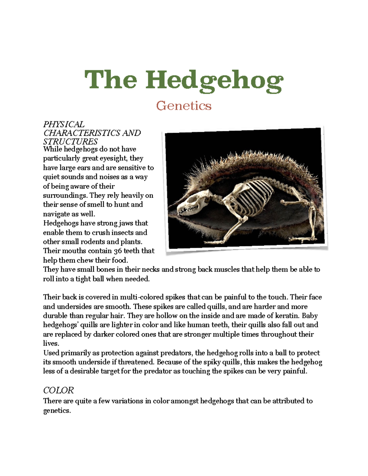 Hedgehog pdf - The Hedgehog Genetics PHYSICAL CHARACTERISTICS AND ...