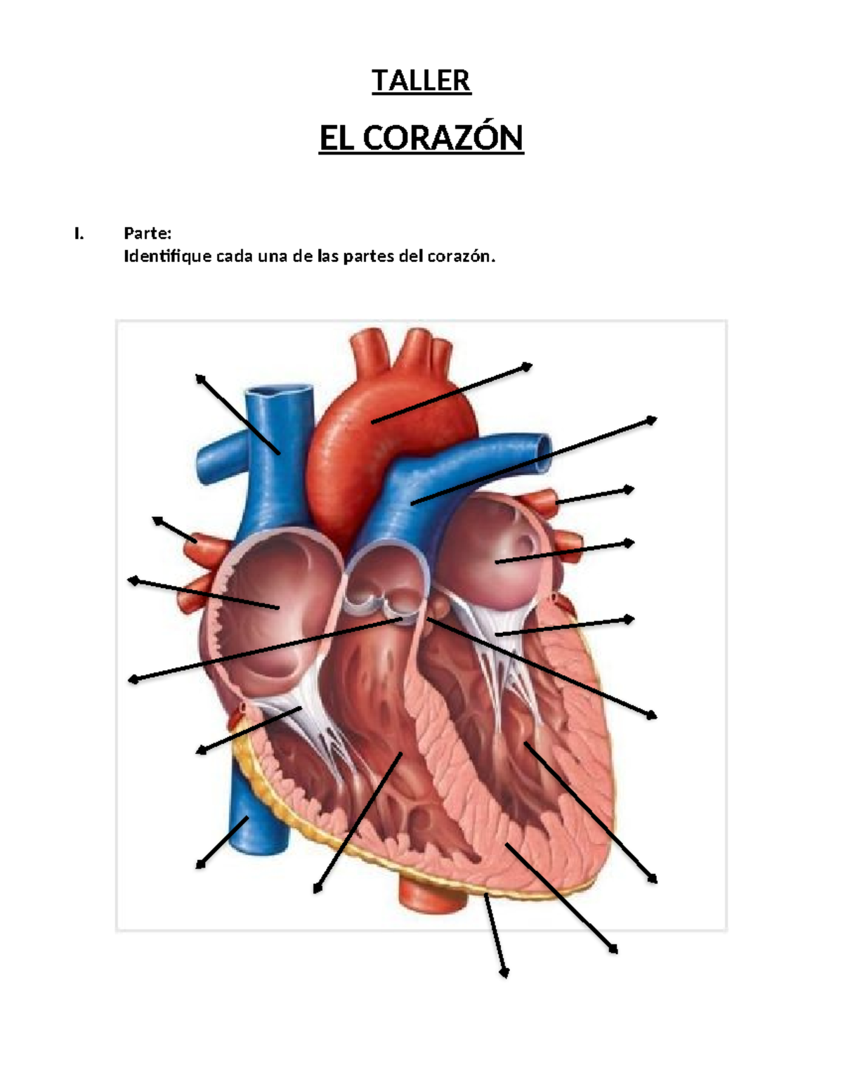 Taller El Corazn 20240504131030 - Administración financiera - TALLER EL ...