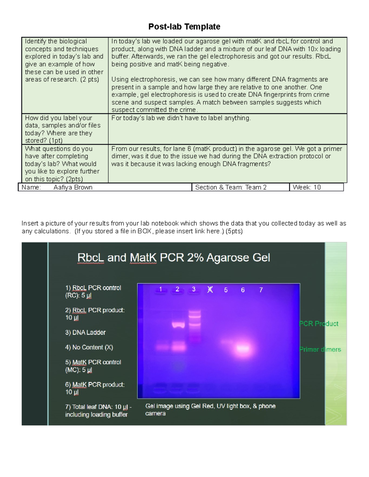 BIO 1105 Post-lab Assignment Day 10 (Summer) - Post-lab Template ...