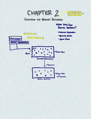 Transformation of Life on Earth - ####### Transformation of life on ...
