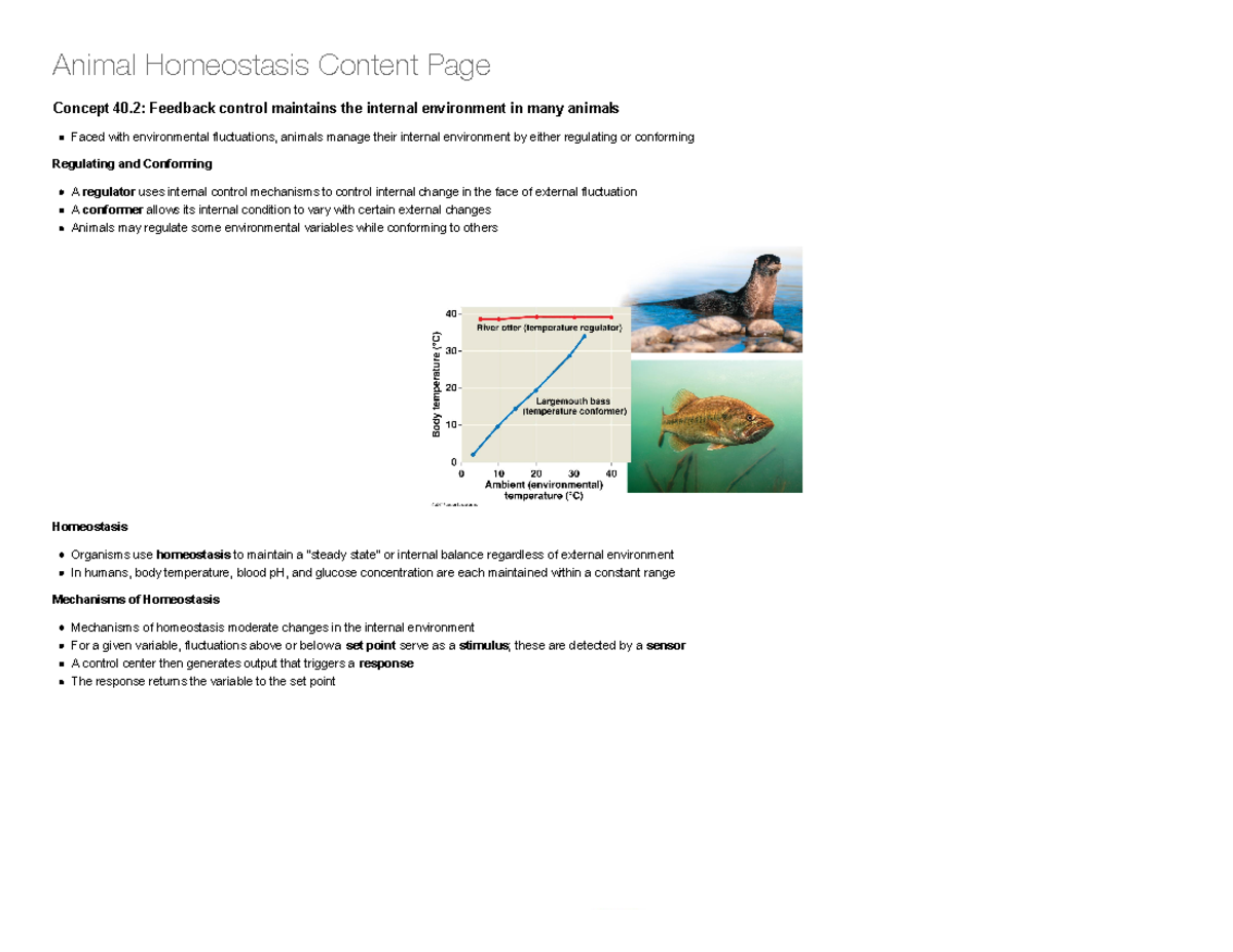 Animal Homeostasis Content Nash - Animal Homeostasis Content Page ...