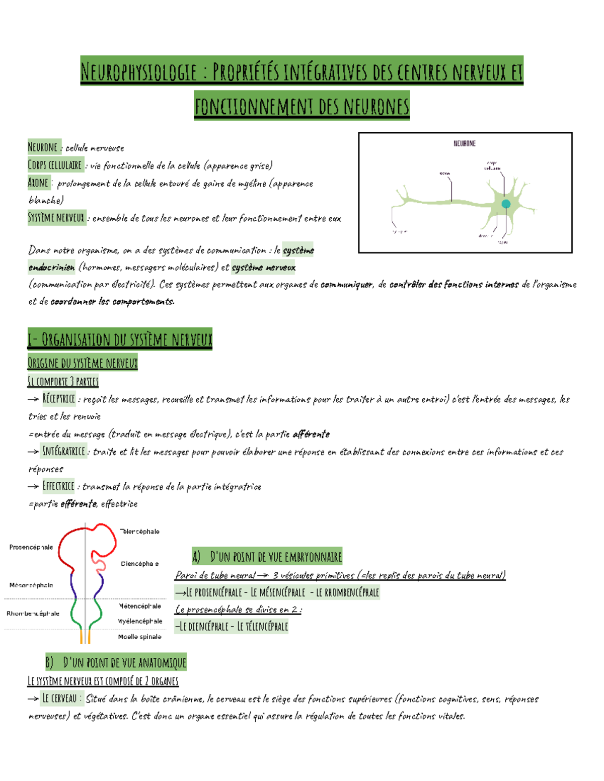 Neurophysiologie - Ces stème pett ax ors de conu, de corôle de fot inn ...
