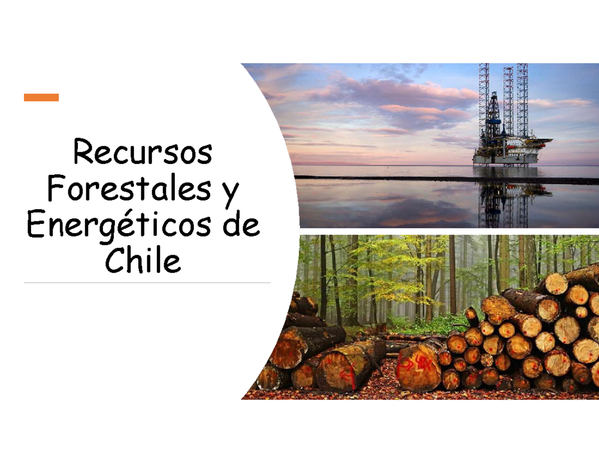 Presentación Forestal Y Energético - Recursos Forestales y Energéticos ...