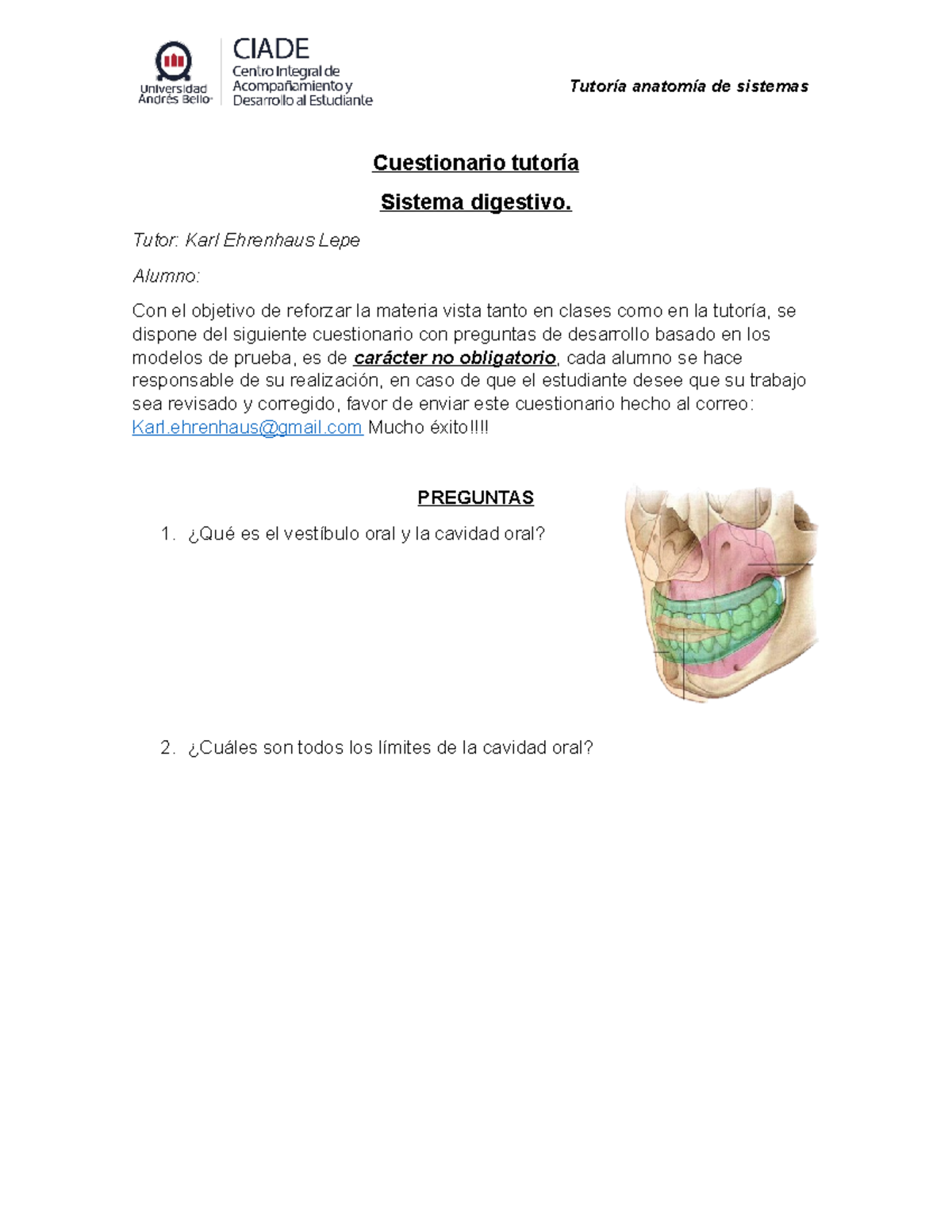 Cuestionario Tutoria Sistema Digestivo - Cuestionario tutoría Sistema ...