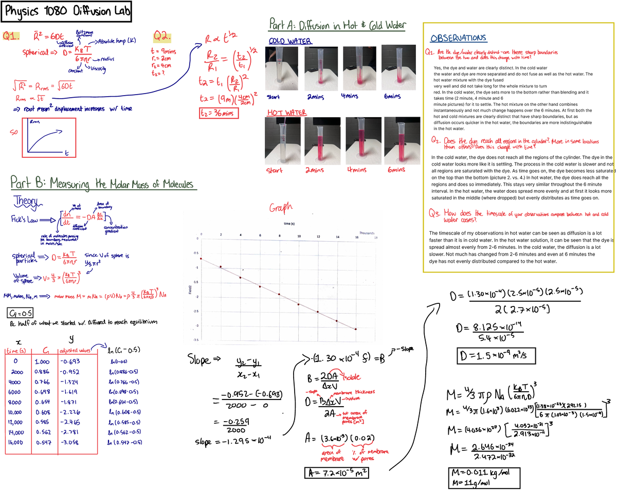 Physics Diffusion lab 2 - P h y s i c s 1 0 8 0 D i f f u s i o n L a b ...