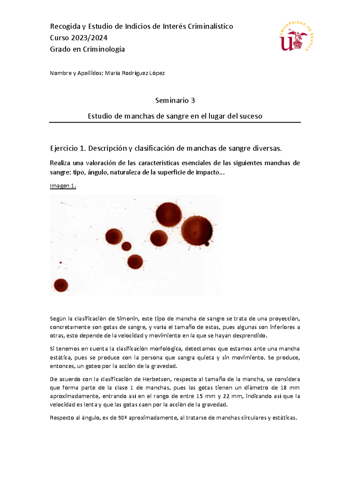 Seminario 3. Manchas de sangre - Curso 20 23 /20 24 Grado en ...