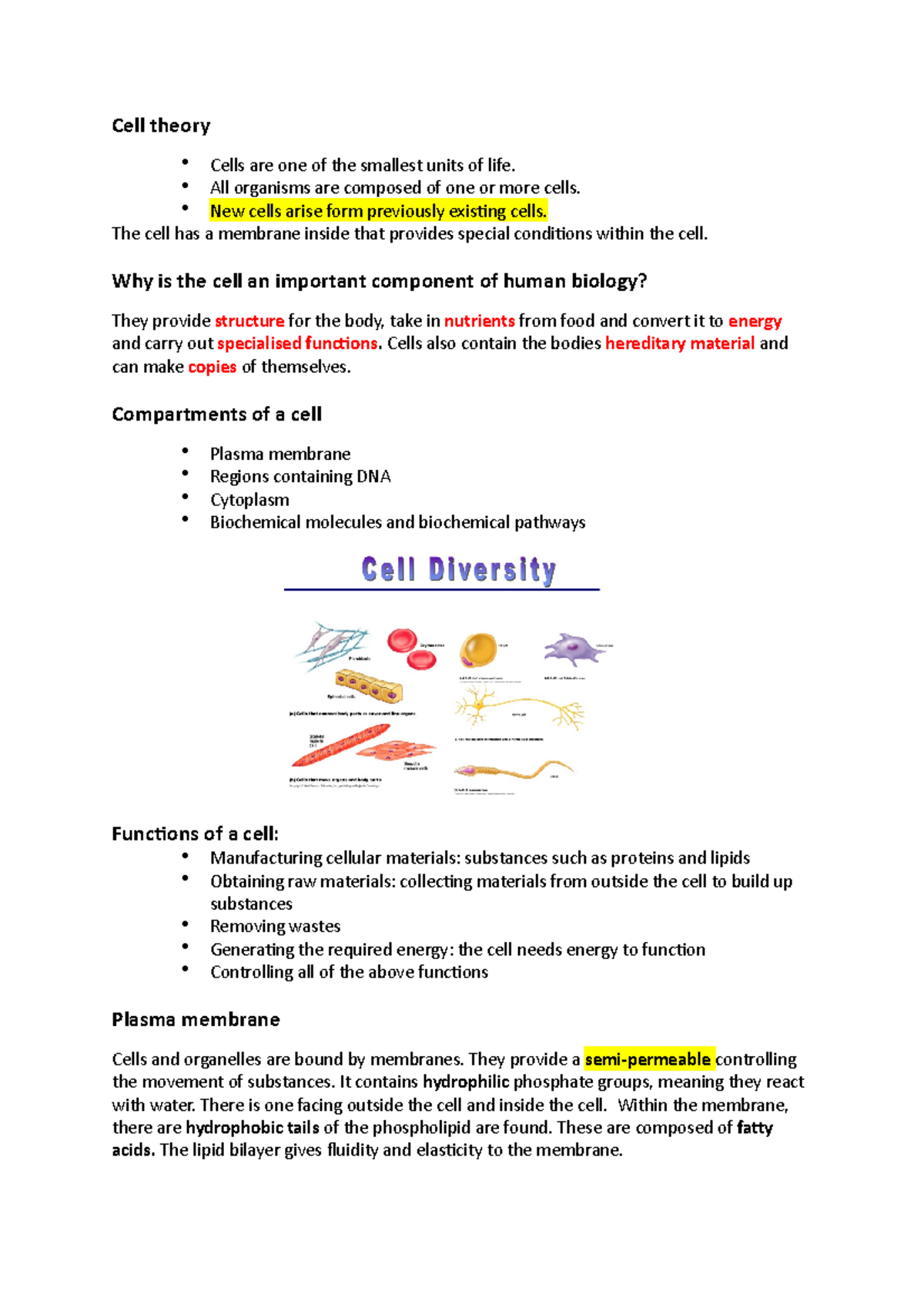 Lecture 1: Intro to human cell - Cell theory Cells are one of the ...