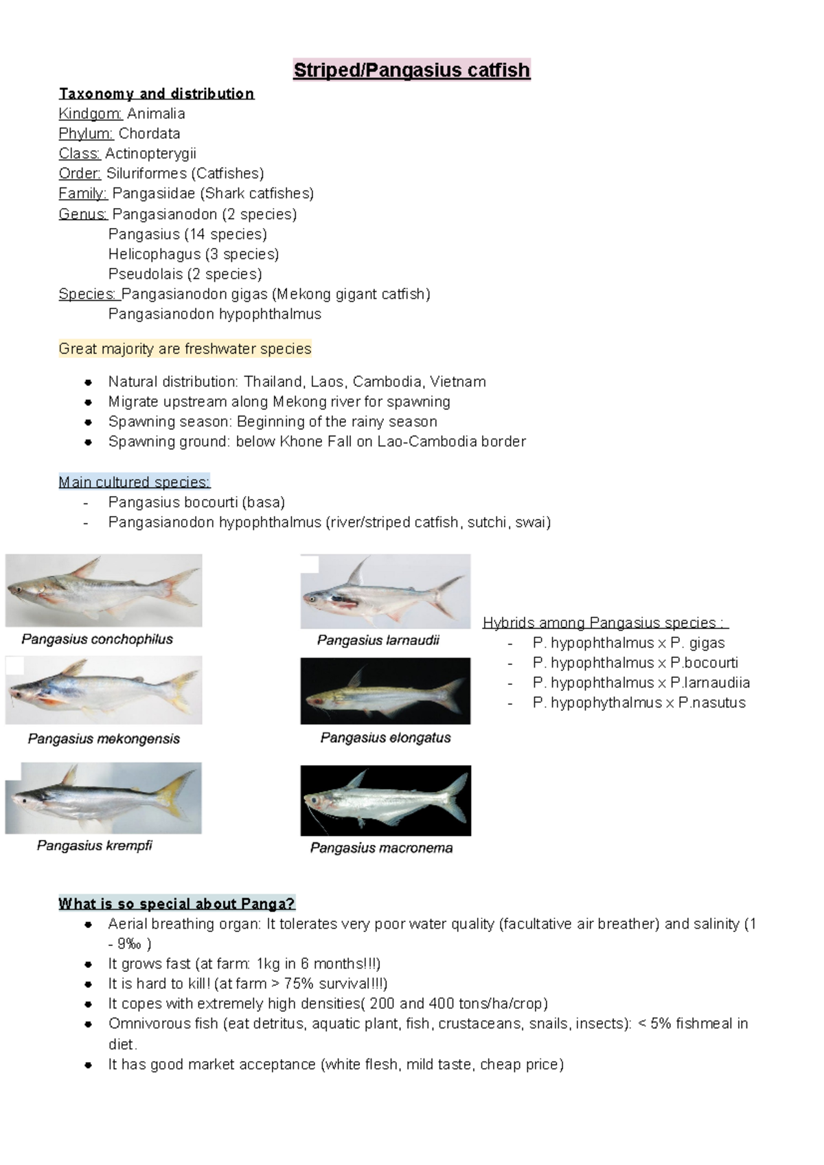 AQ Week5 Catfish - Notes Aquaculture - Striped/Pangasius catfish ...