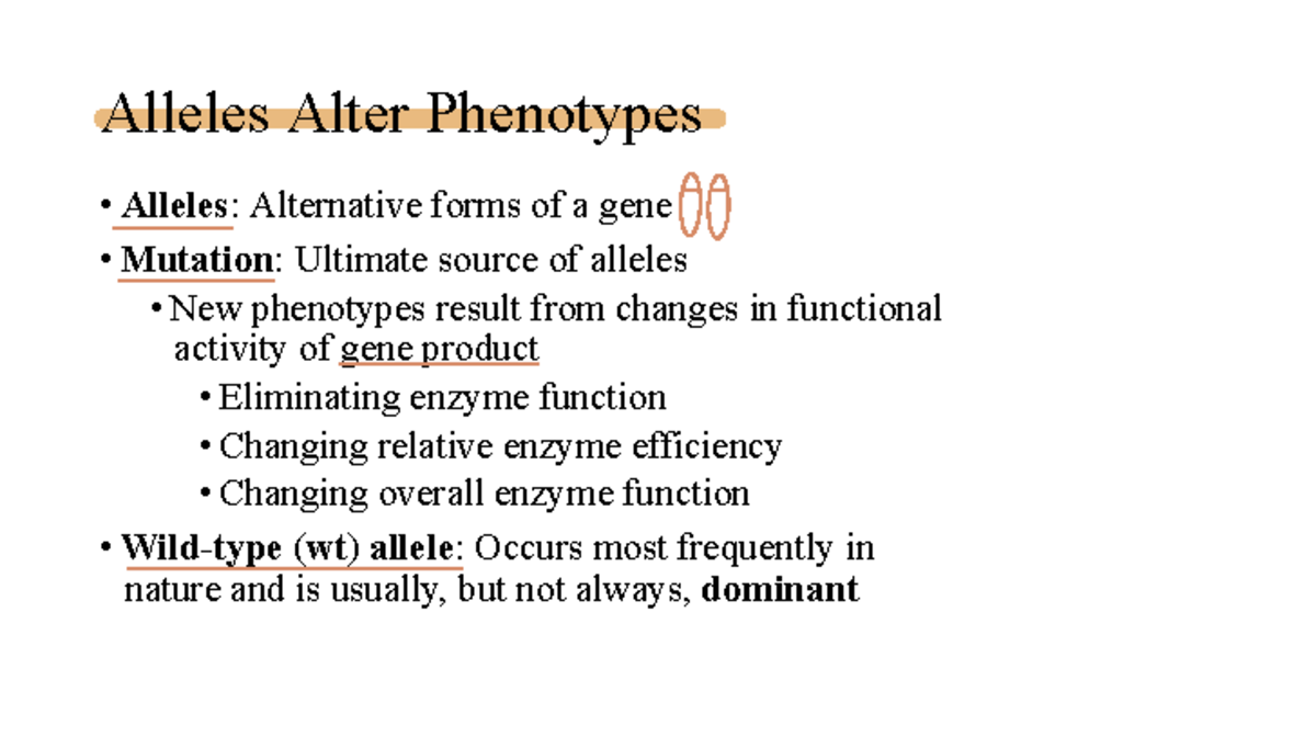 Lecture 8 - Notes - Alleles Alter Phenotypes Alleles: Alternative forms ...