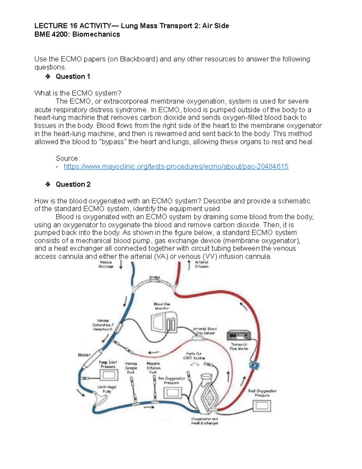BME 4200 Lecture 16 - LECTURE 16 ACTIVITY— Lung Mass Transport 2: Air Side BME 4200 ...