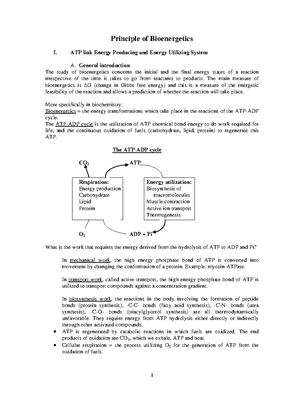 Handout-Bioenergetics - Principle of Bioenergetics I. ATP link Energy ...