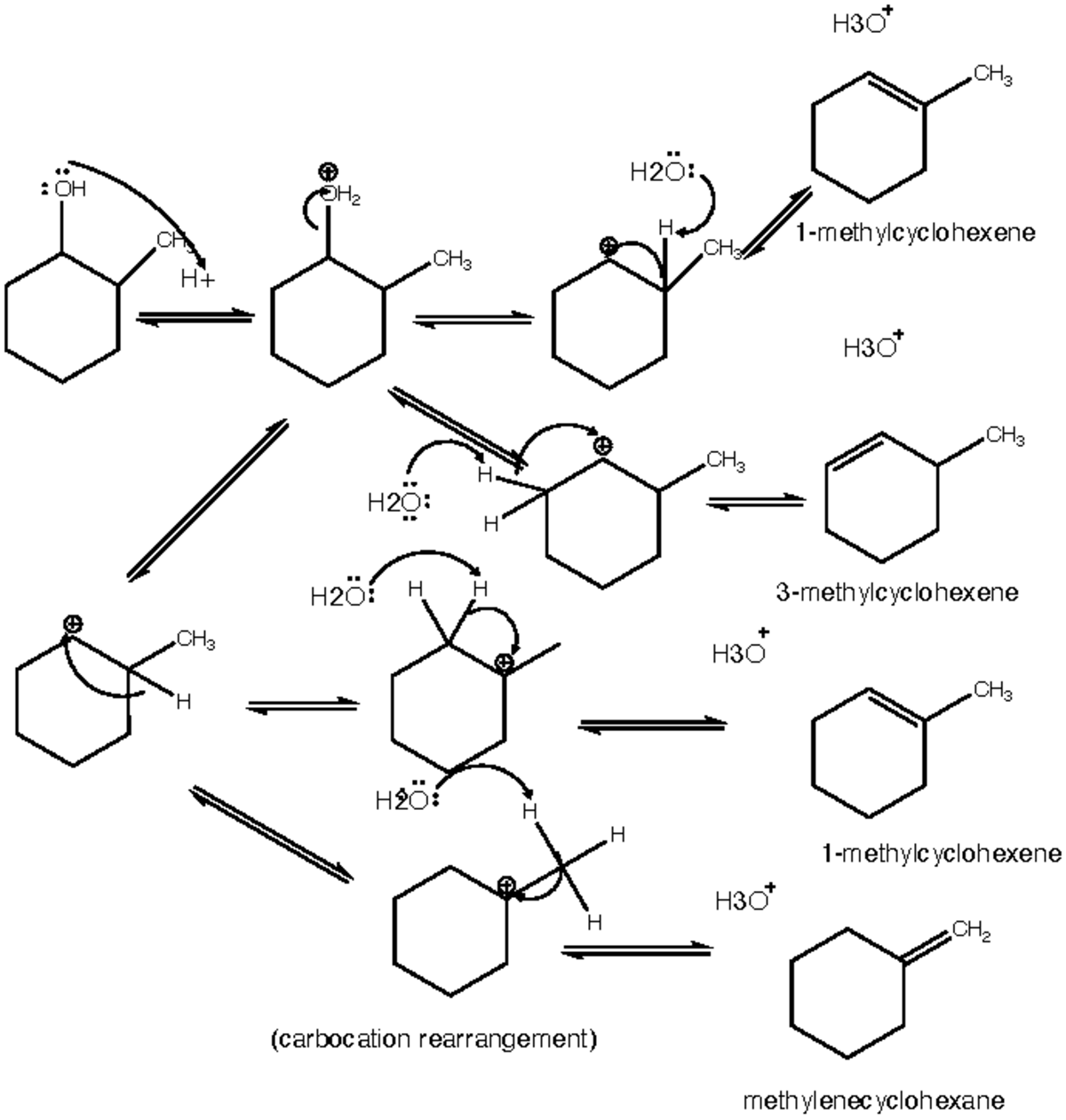 Mechanism lab 5 - CH 237 - H+ CH 3 OH 2 CH 3 CH 3 CH 3 CH 3 OH H H2O ...