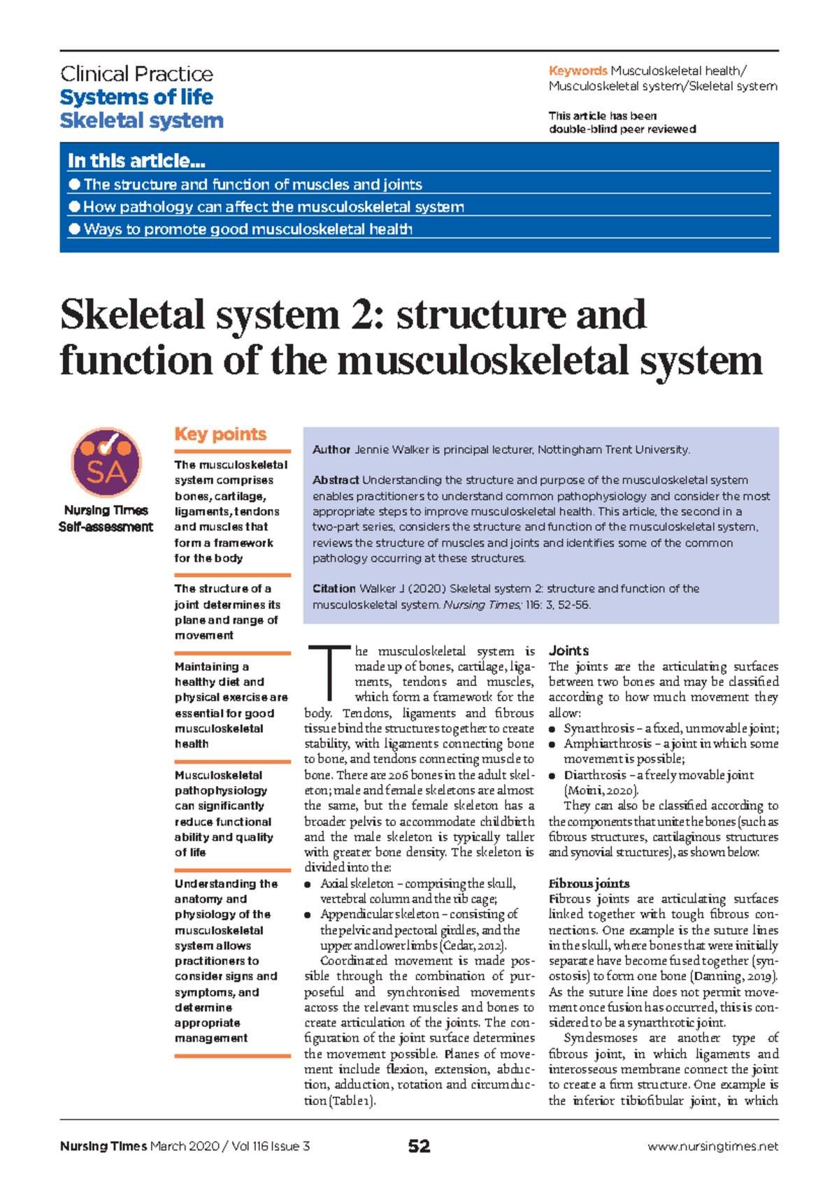 Skeletal system part 2 NT - T he musculoskeletal system is made up of ...
