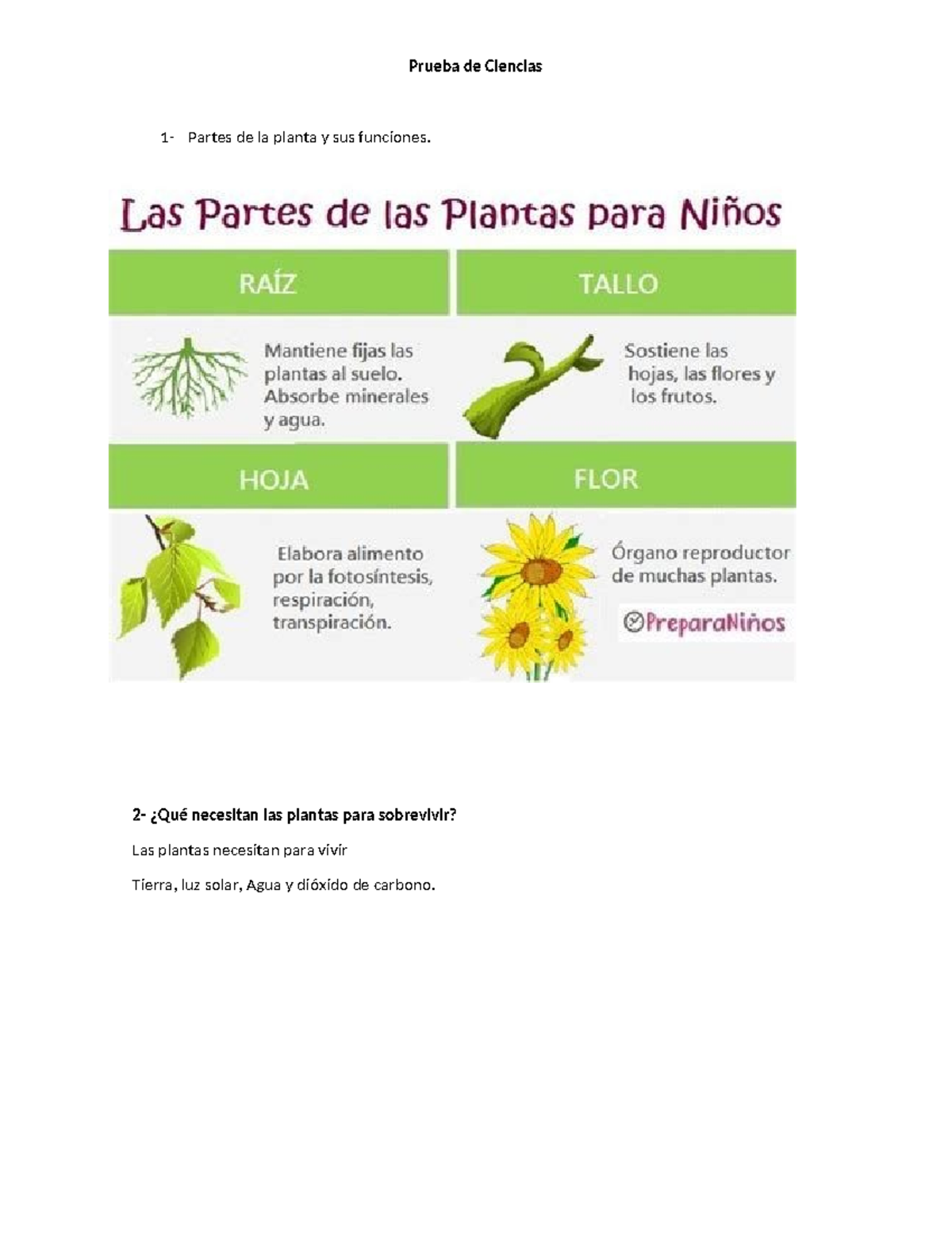 Prueba de Ciencias - apuntes - Prueba de Ciencias 1- Partes de la ...
