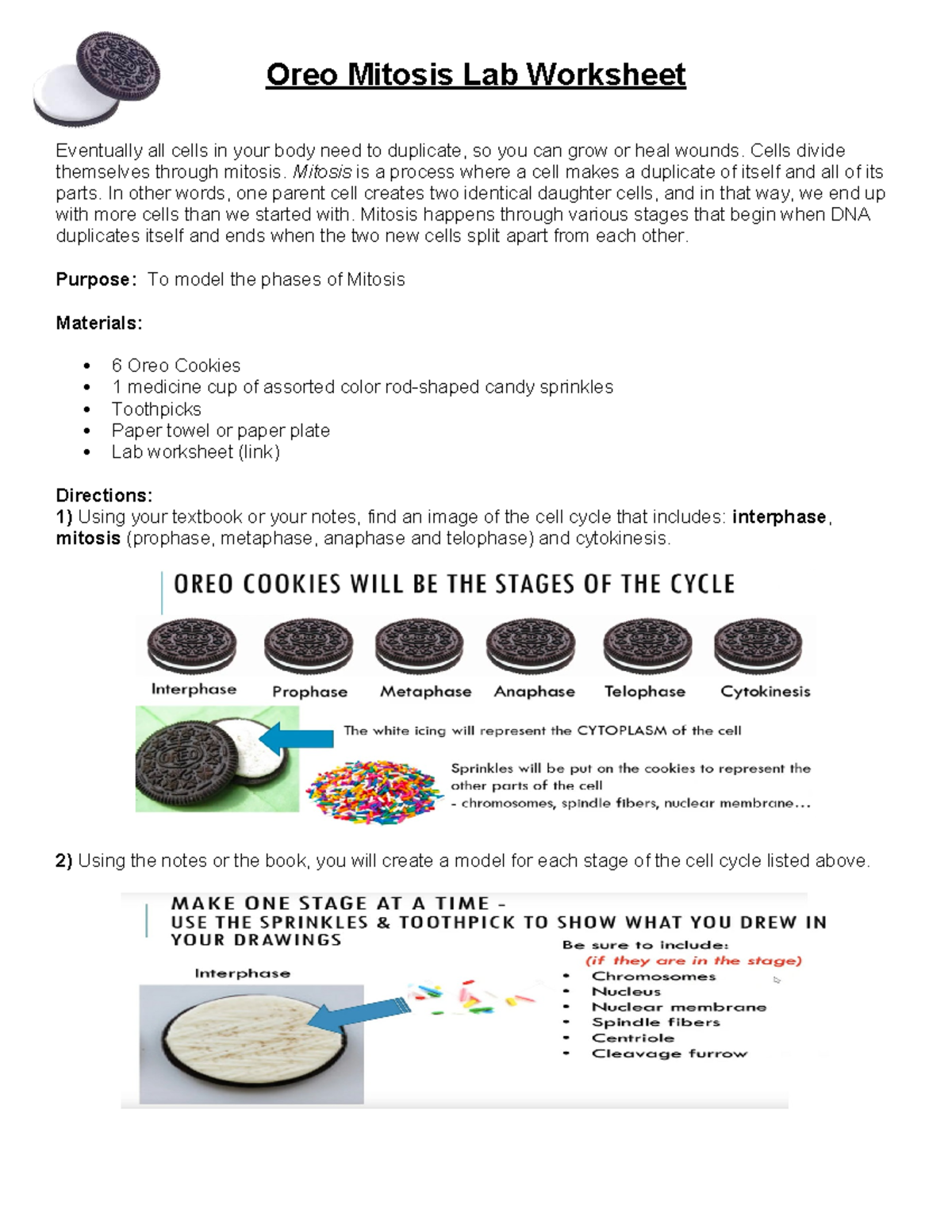 Oreo Mitosis Lab - sdsd - Oreo Mitosis Lab Worksheet Eventually all ...