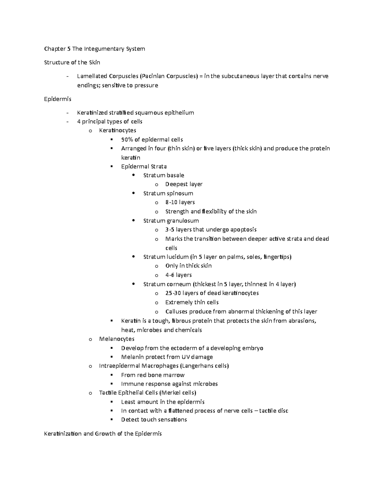 Chapter 5 The Integumentary System - Chapter 5 The Integumentary System ...