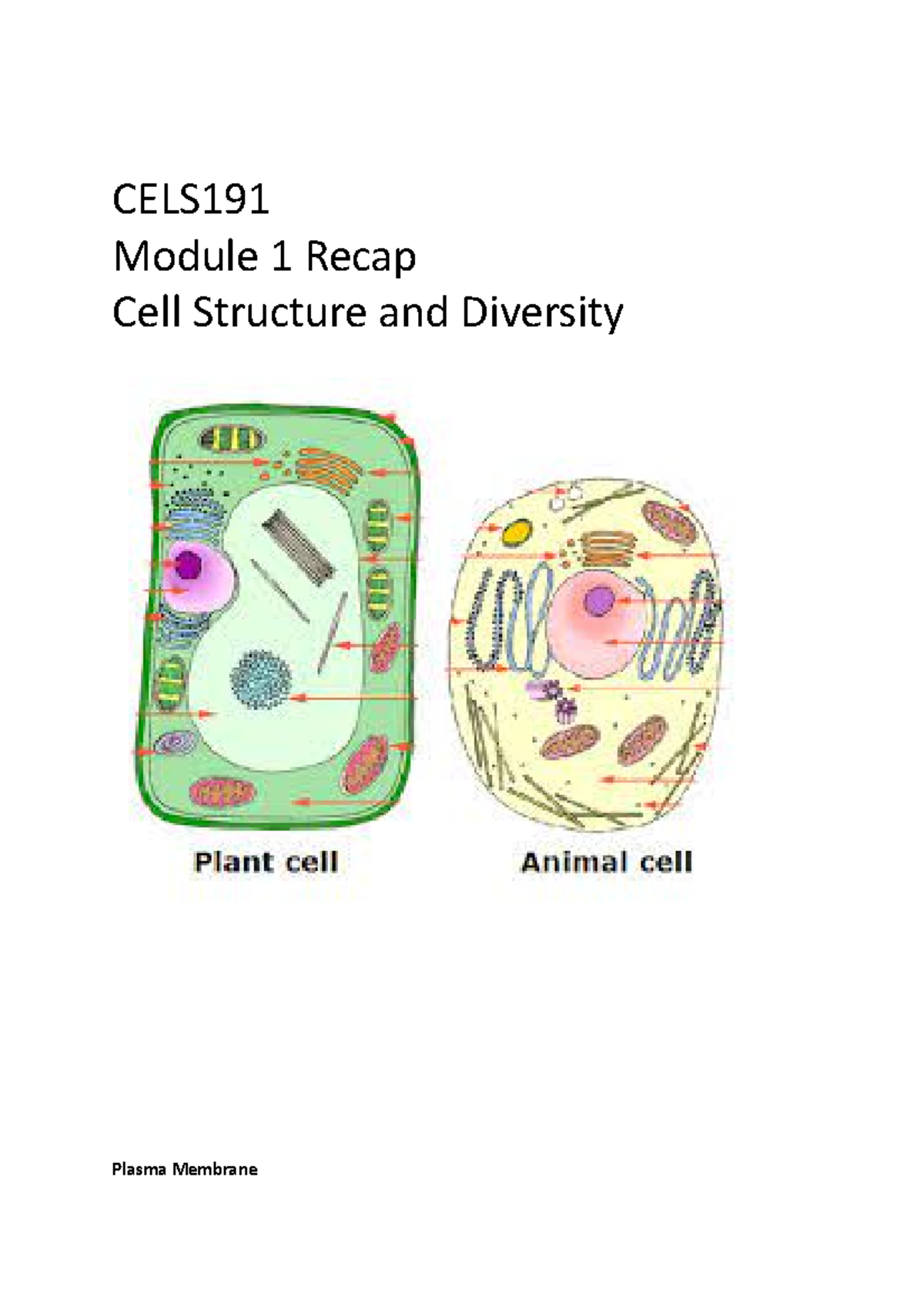 CEL191 module 1 - CELS Module 1 Recap Cell Structure and Diversity ...