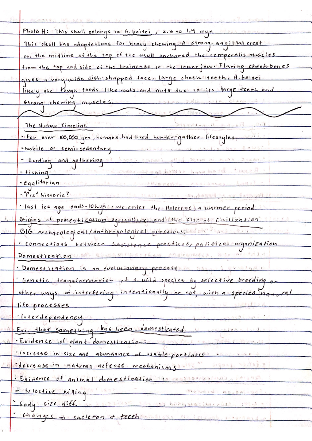 Notes Part 3 - ANTH 1000 - Studocu