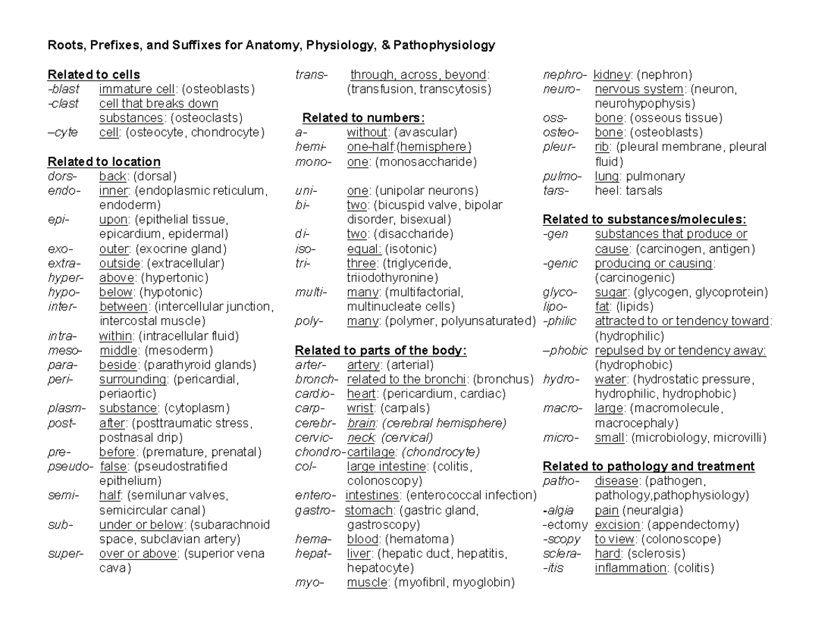 Useful Prefixes and Suffixes - Roots, Prefixes, and Suffixes for ...