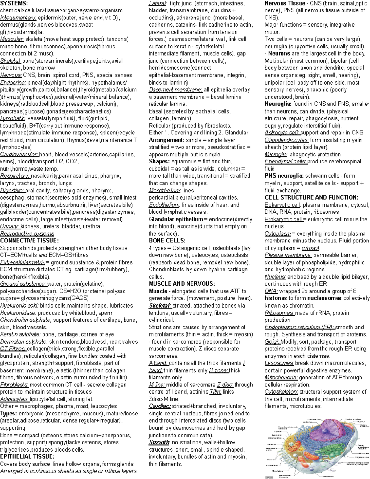 Cheat sheet for biosci 107 - SYSTEMS: chemical>cellular>tissue>organ ...