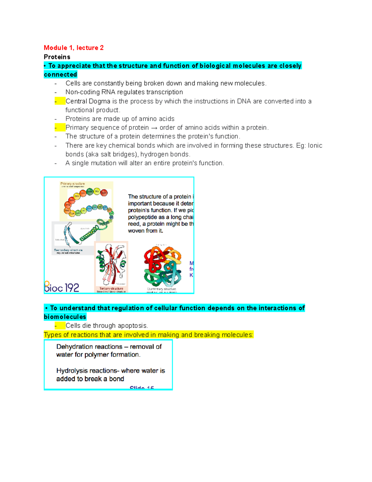 Bioc192 - lecture notes - **Module 1, lecture 2 Proteins To appreciate ...