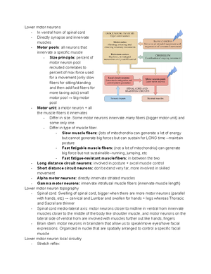 Chapter 1- Neuroanatomy - Nervous system is the product of gene ...