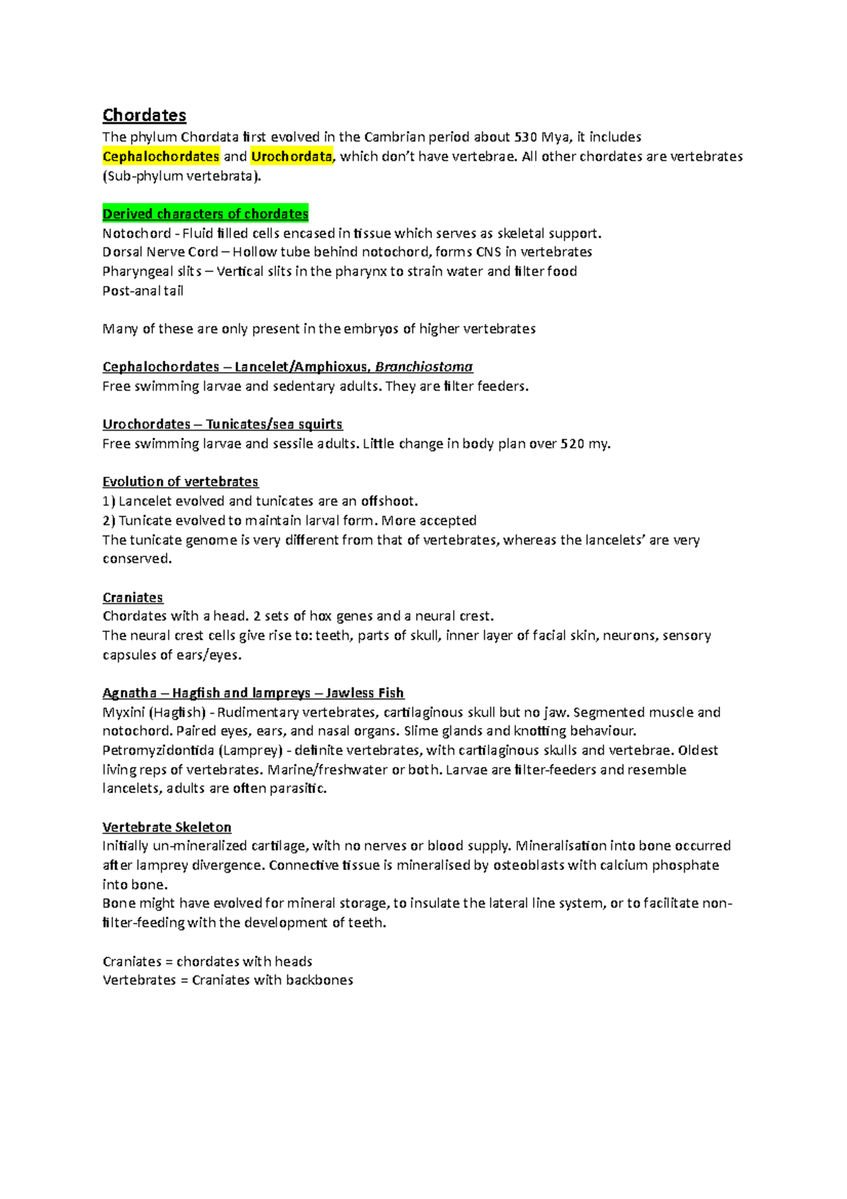 12 - Chordates - Lecture notes 12 - Chordates The phylum Chordata first ...