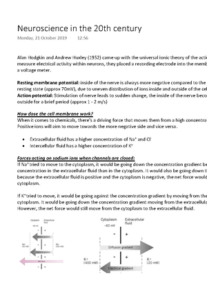 A brief history of neuroscience - Beginnings of the history of ...