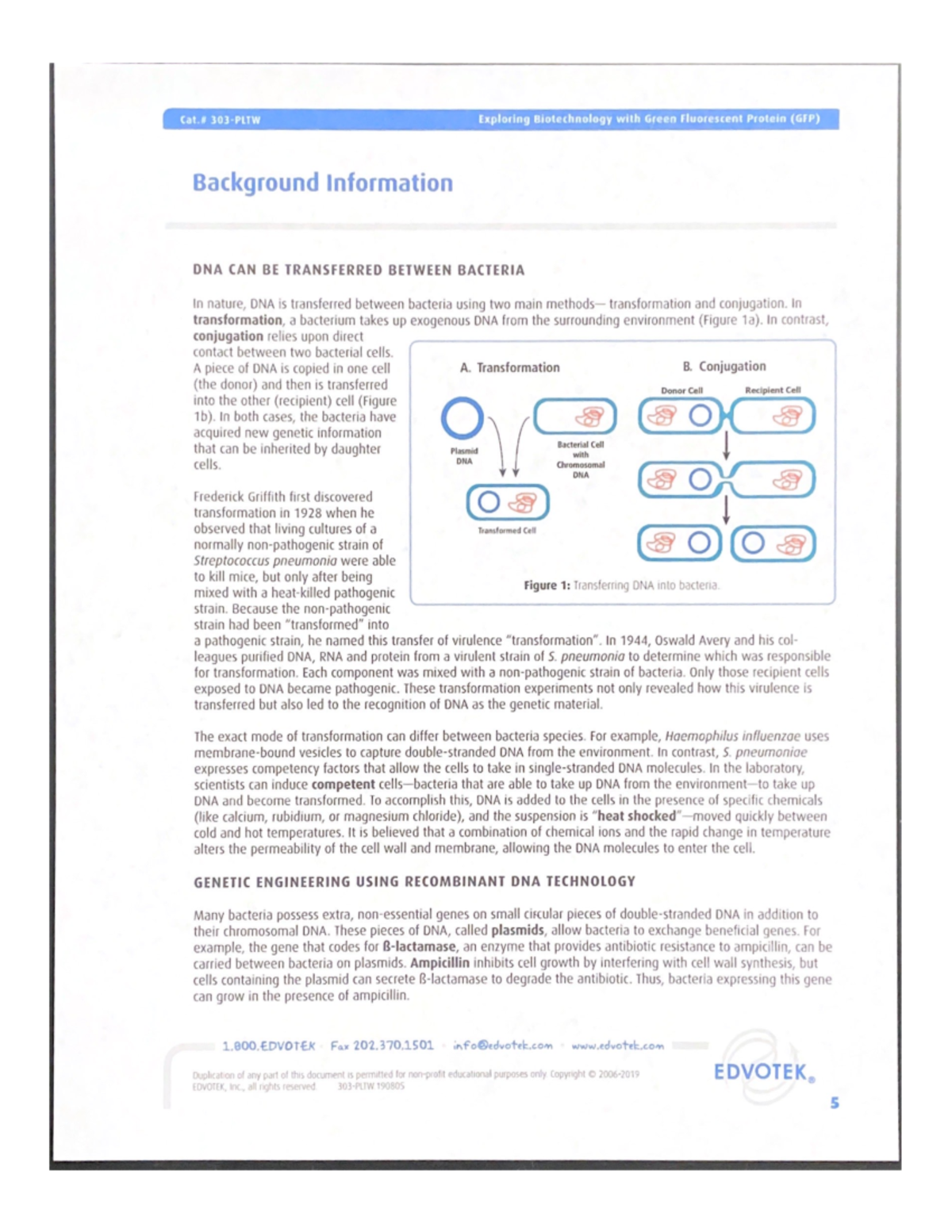4 - lab - BIS 2A - Studocu