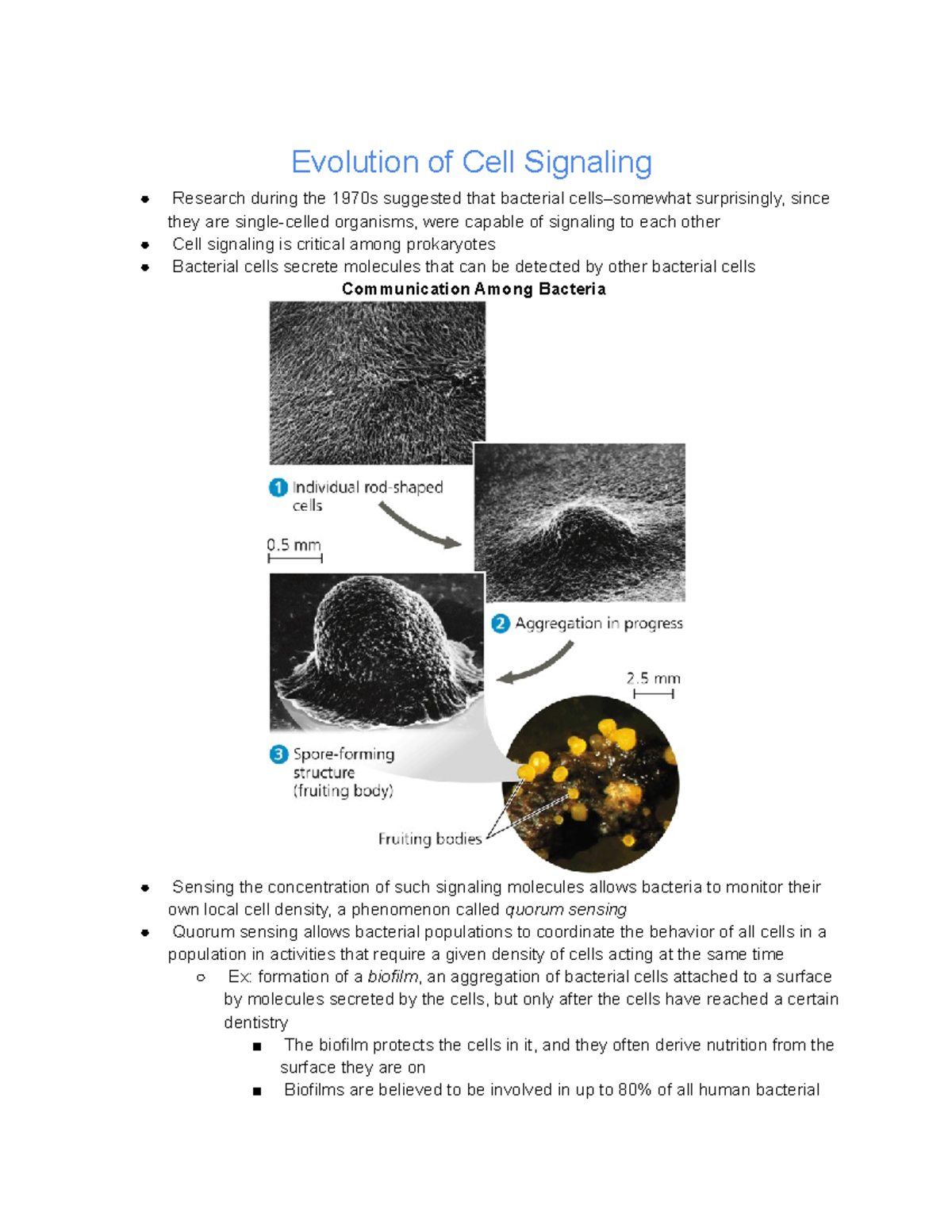 11.1 External Signals are Converted to Responses within the Cell ...