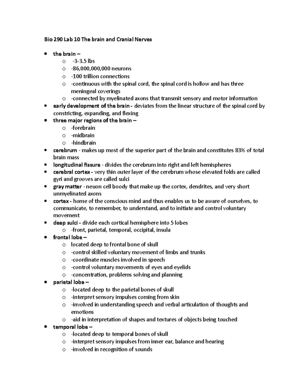 Bio 290 The Brain and Cranial Nerves - Bio 290 Lab 10 The brain and ...