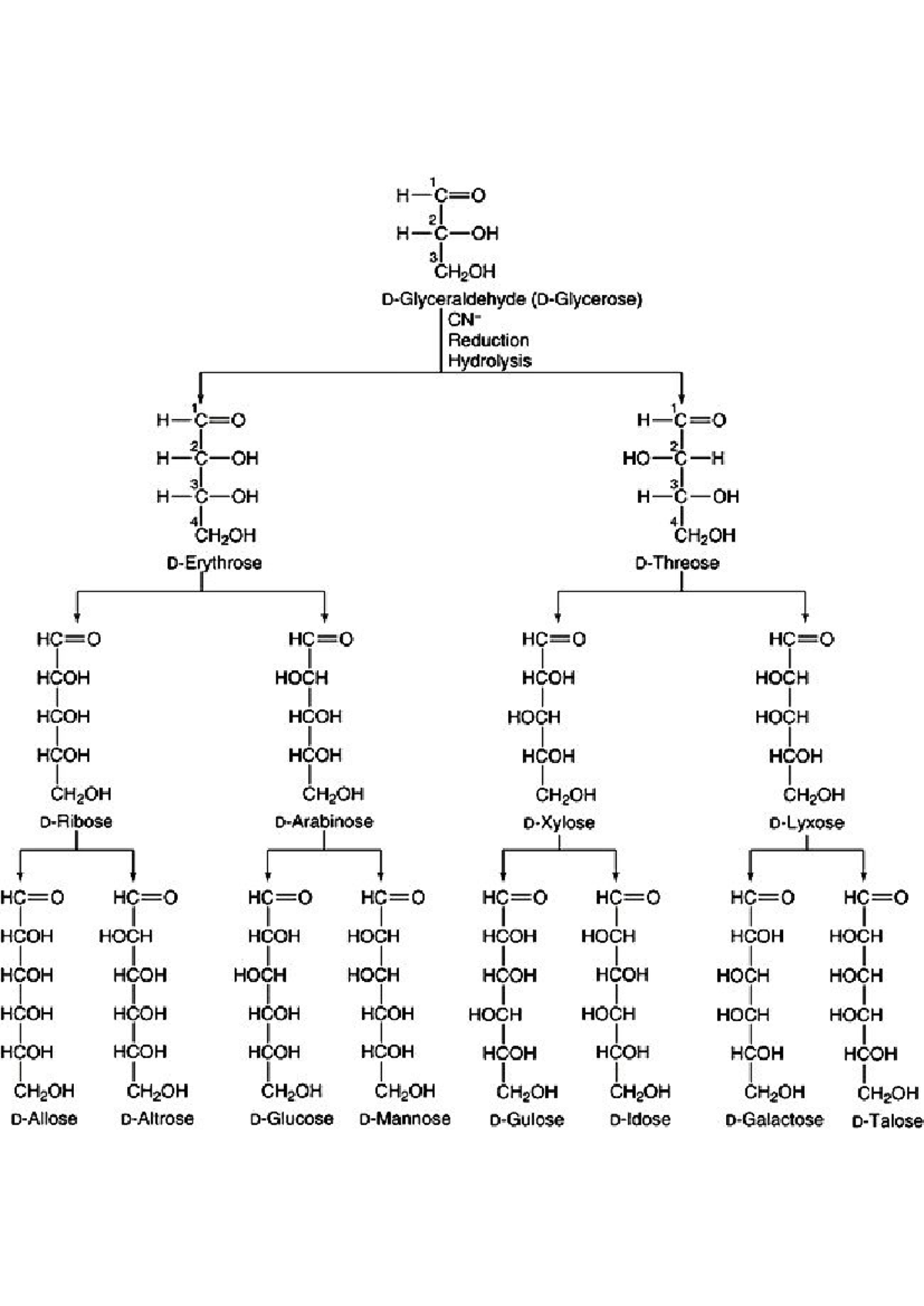 CHM557 Glucose Compound - Fundamental of Organic Chemistry - Studocu