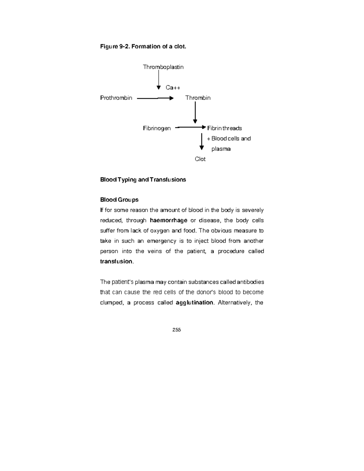 Cardiovascular system part 2 - Figure 9-2. Formation of a clot ...