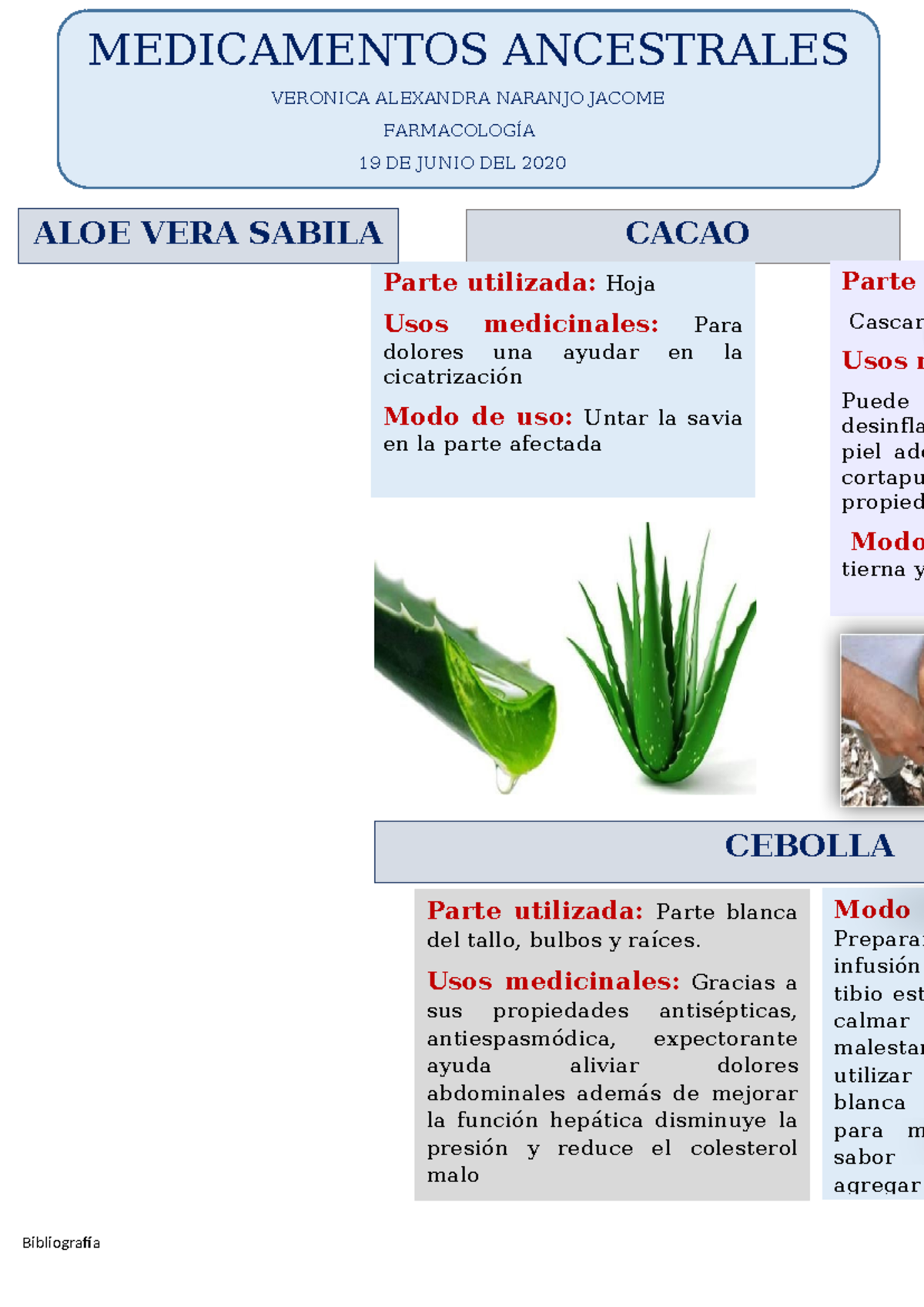 Medicinal - Medicina ancestral - Bibliografía CEBOLLA CACAO Parte ...